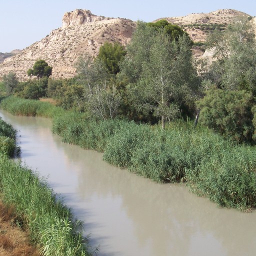 Archena, Spain - Travel Guide 2025