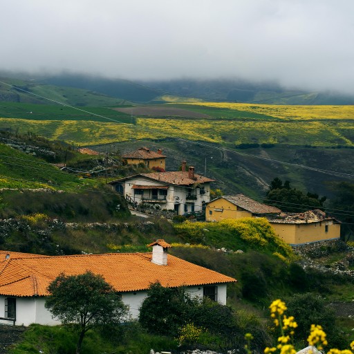 Catia La Mar, Venezuela - Travel Guide 2025