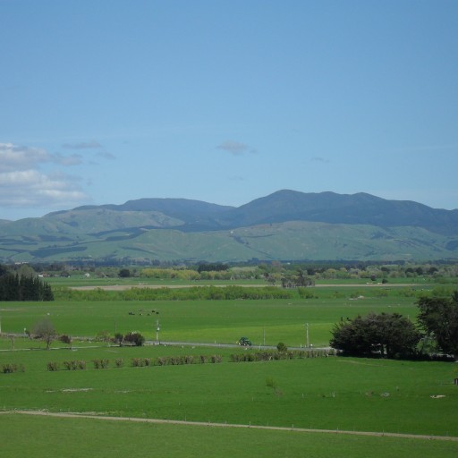 Martinborough, New Zealand - Travel Guide 2025