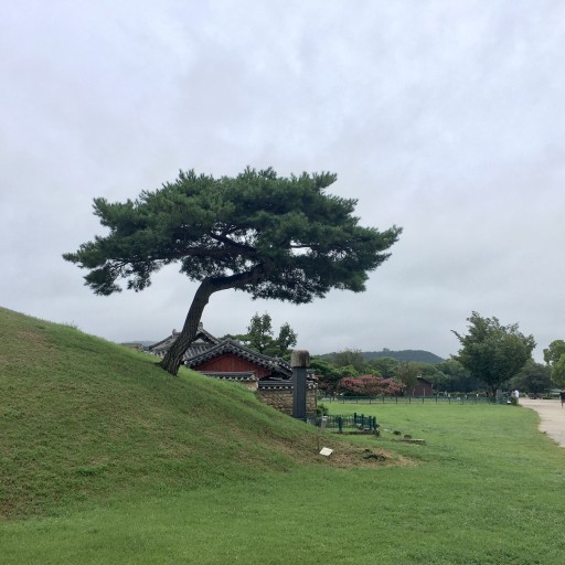 Munsan, Zuid -Korea - Reisgids 2025