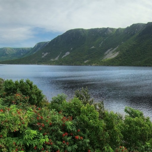 Newfoundland And Labrador, Canada - Travel Guide 2025