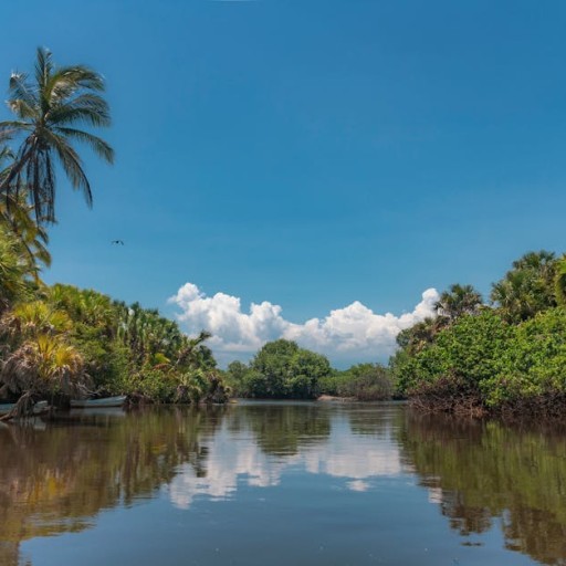 San Pedro Pochutla, Mexico - Travel Guide 2025