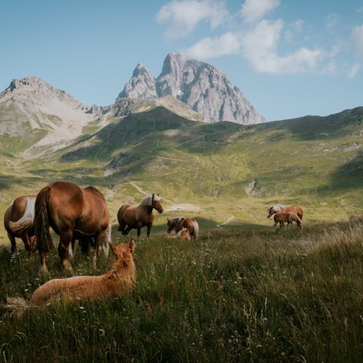 Trappes, France - Travel Guide 2025